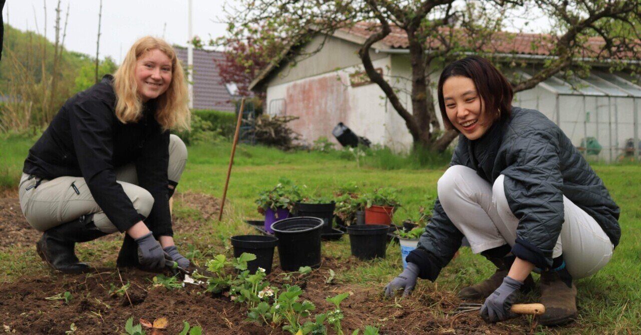田辺 莞菜 / Kanna Tanabe｜note