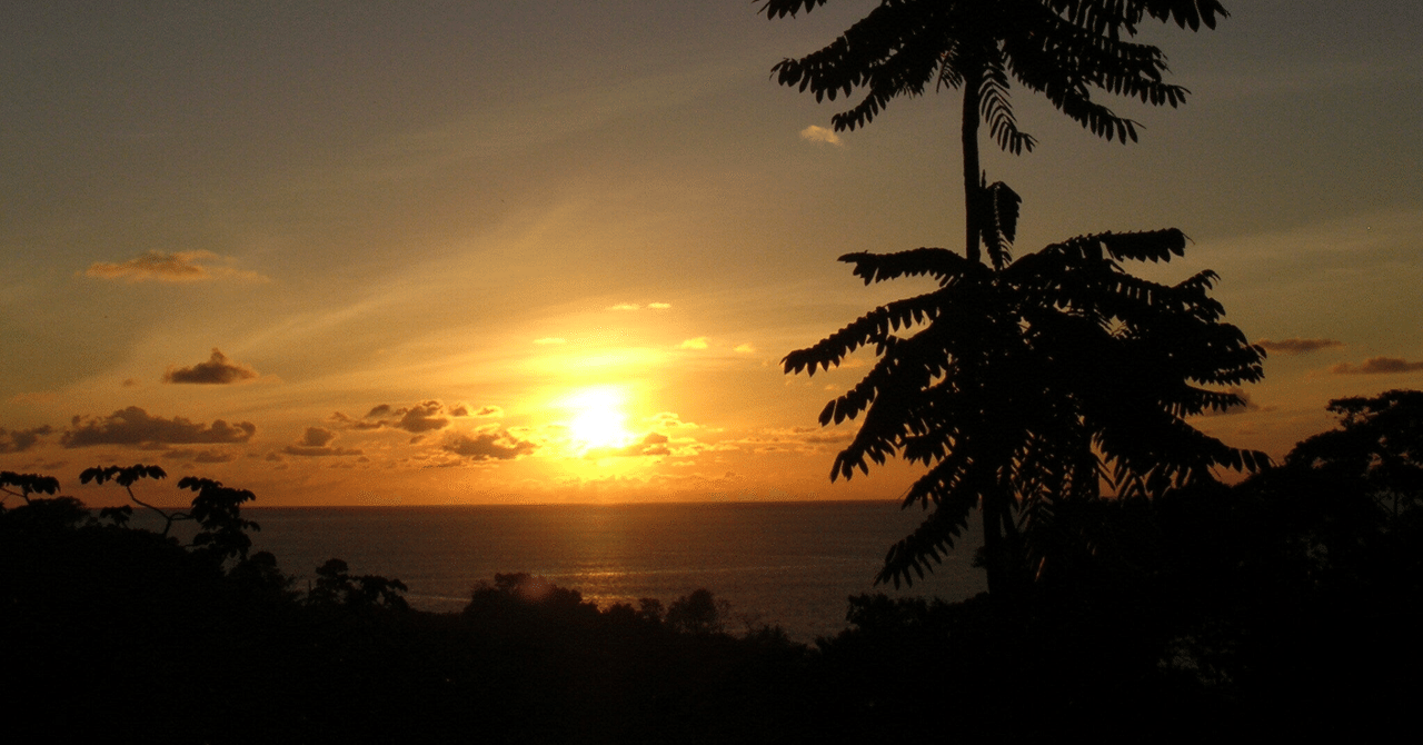 豆note コスタリカ｜shinmr