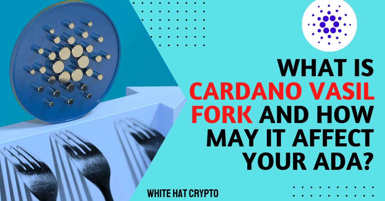 カルダーノ・バシル・フォークは何か、そしてどのようにあなたのADAに影響を与えるのか？What is Cardano Vasil Fork ...