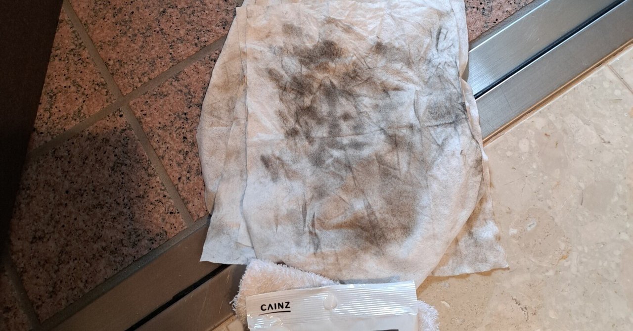 網戸掃除はこんな日に｜Hiroko cleanse