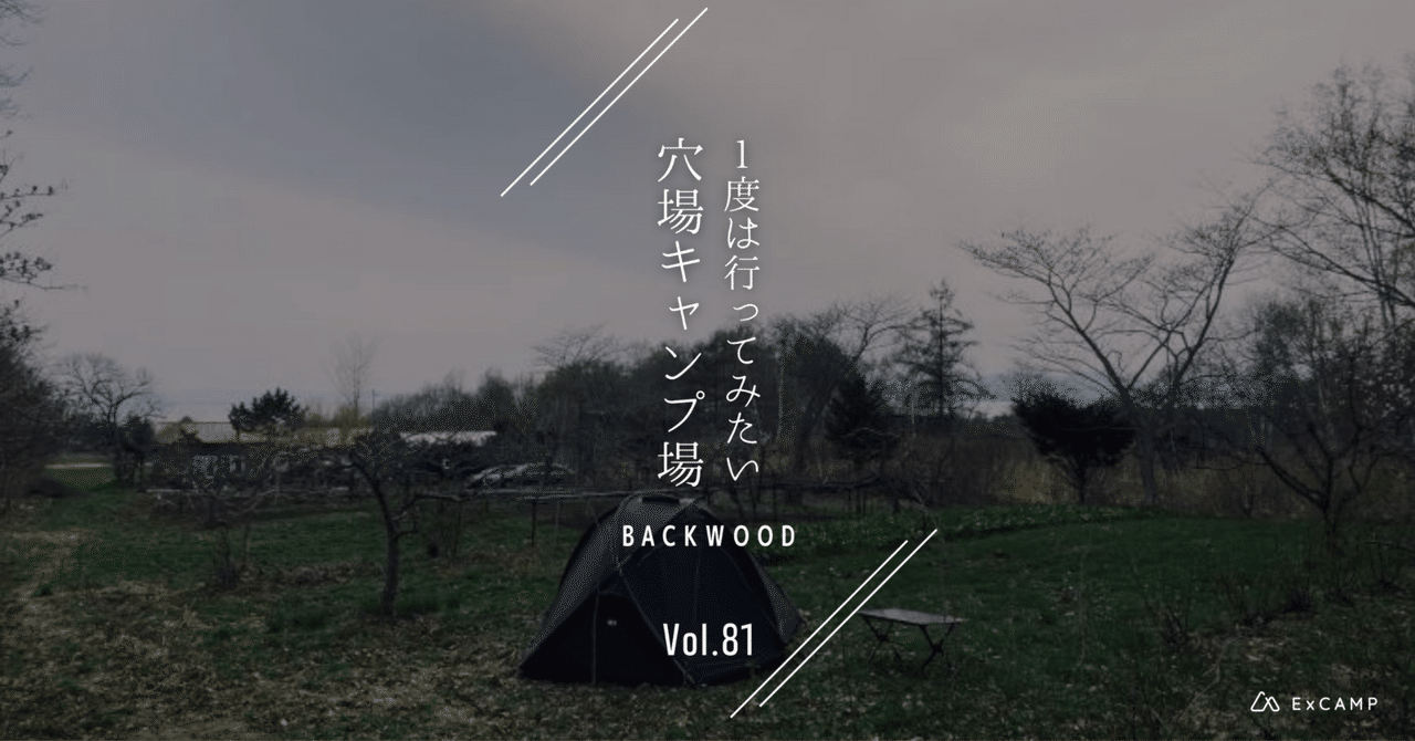 夏におすすめ！【北海道 洞爺湖】お酒と本と木に囲まれて過ごす大人のキャンプ。 ”BACKWOOD”キャンプ場｜ExCAMP | 穴場キャンプ場情報発信