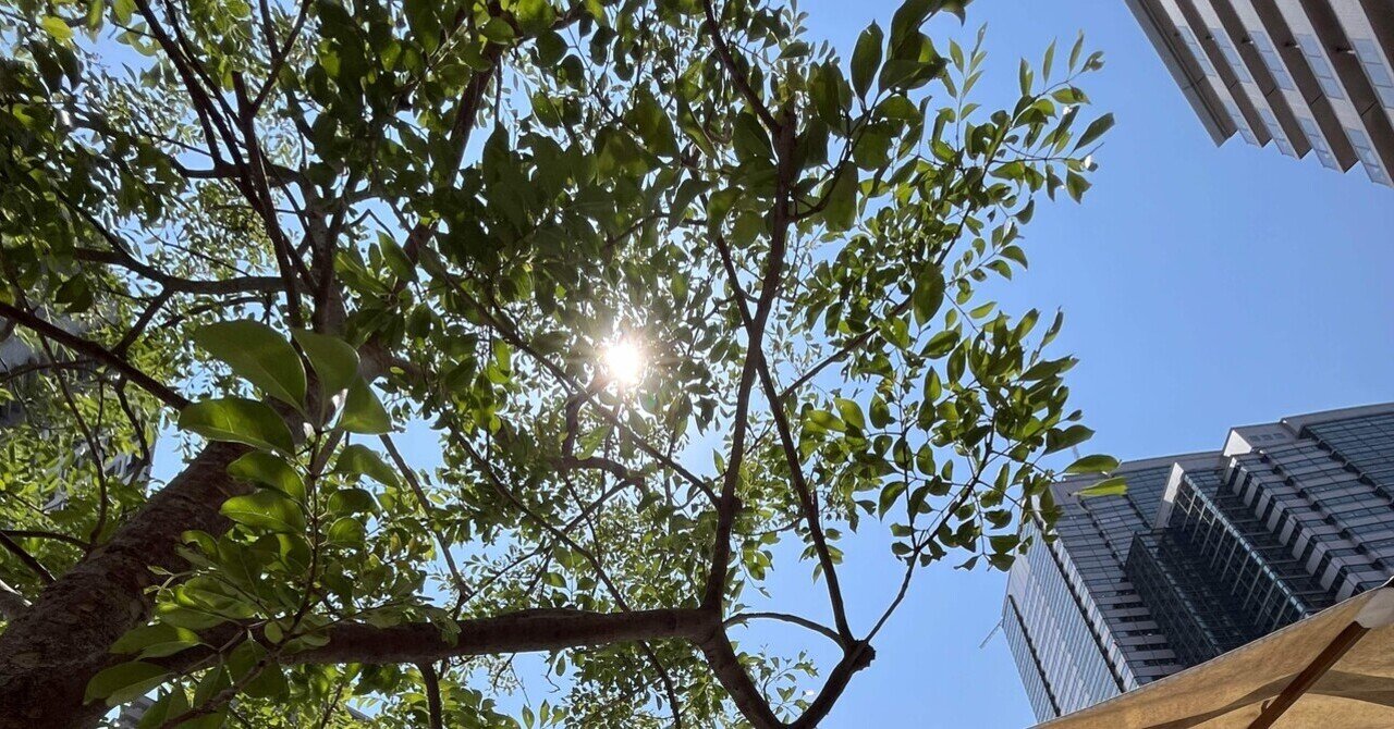 自分の人生の始め方｜mariko_awake