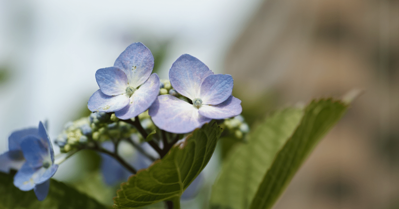 PyTorchでVGGを実装する｜toshi_456