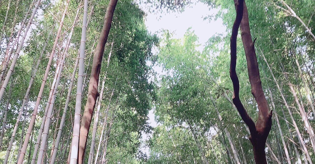 うつ状態となり外に1人で出かけられなかった私が楽しく元気に歩めるようになった方法｜うっかりきまぐれ同好会ukkari_kimagure