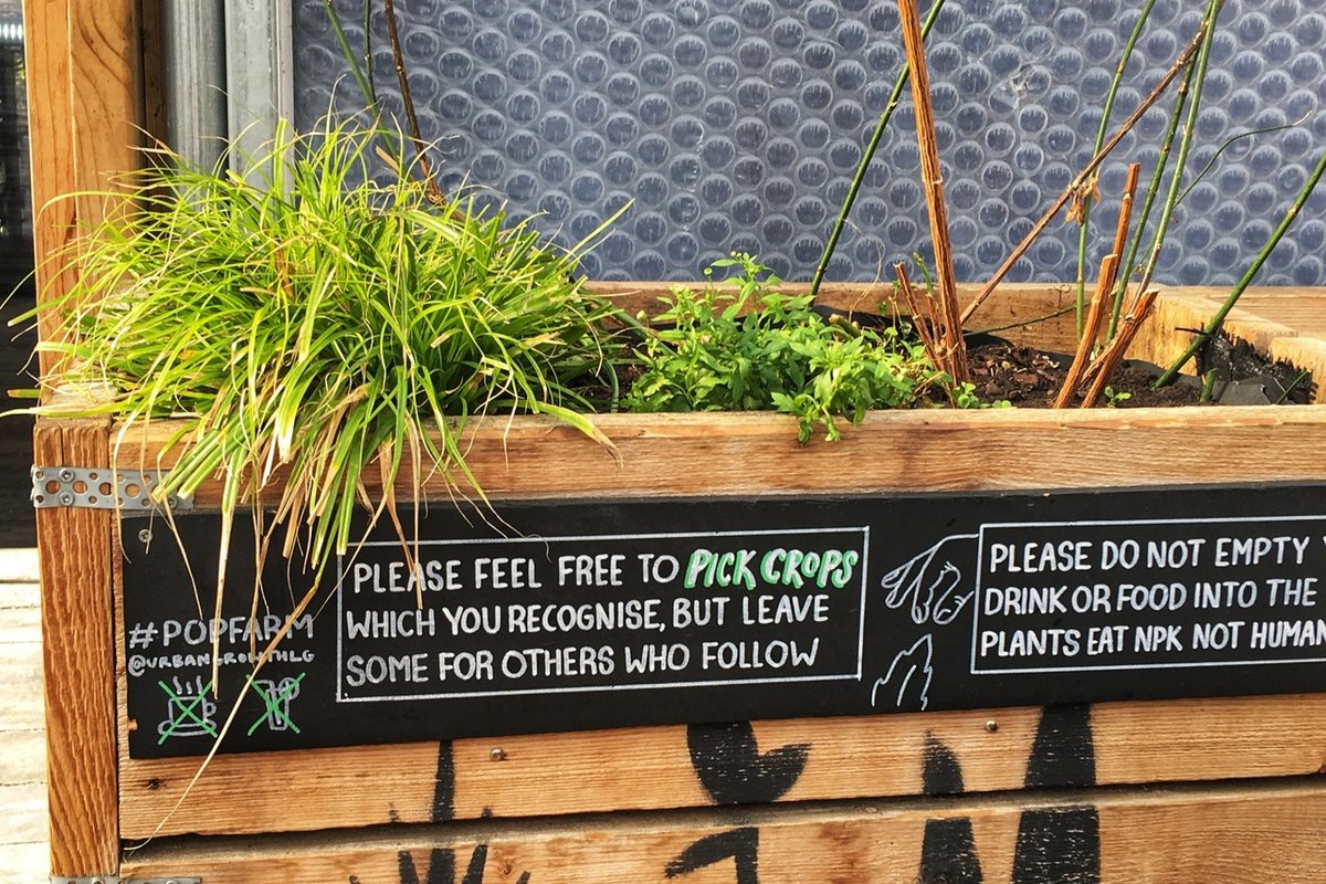 地域でフードロスを減らす「コミュニティ冷蔵庫」｜松丸里歩 | Riho Matsumaru