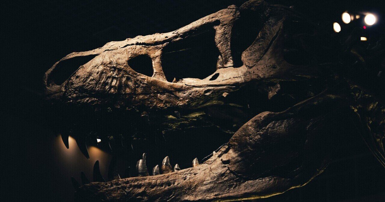 激しさを増す5月｜Kohei Ando a.k.a. MELRAW