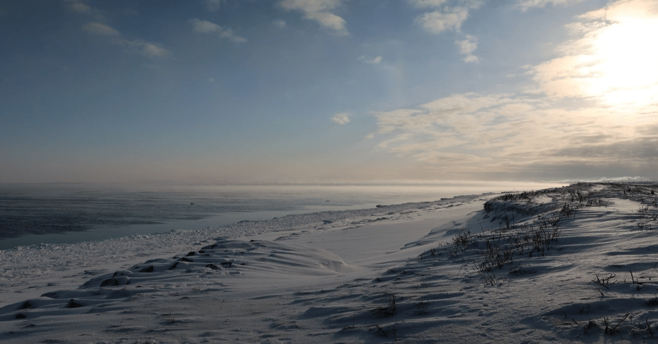 note読者のみなさま、はじめまして｜Yumi Miyai