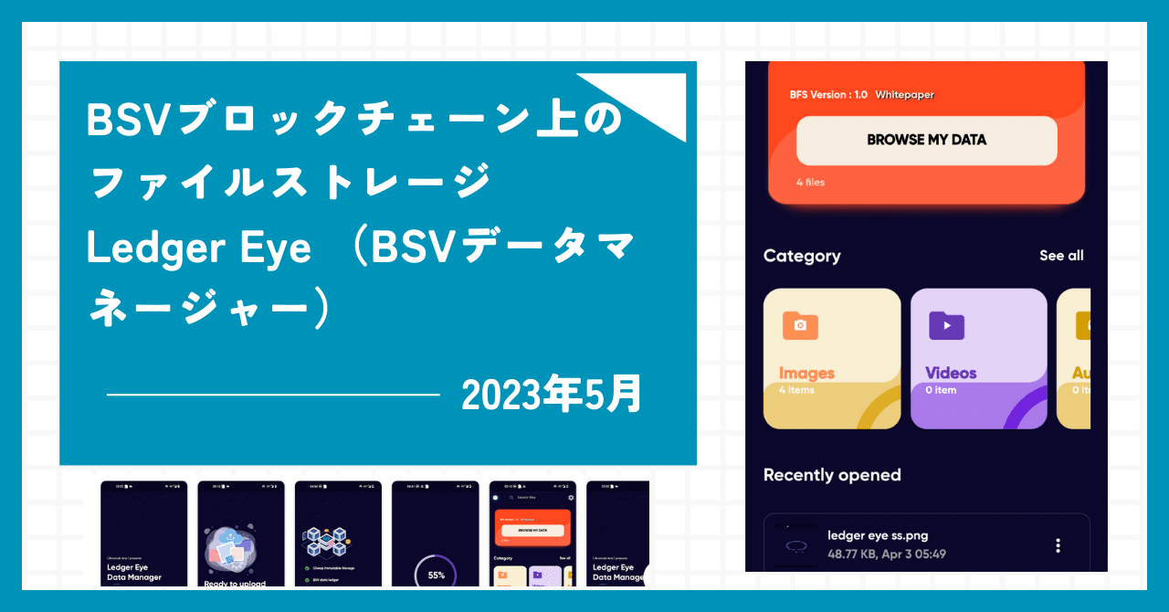 BSVブロックチェーン上のファイルストレージLedger Eye （BSVデータマネージャー）｜陽一