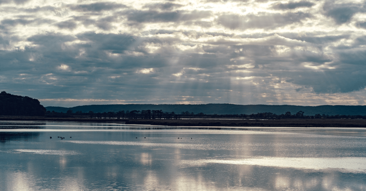 英検1級勉強会告知｜とげまる（kei wada）