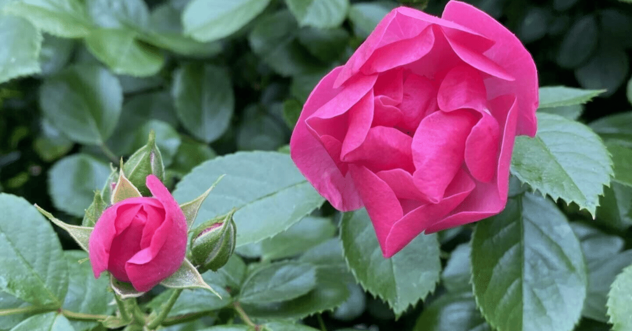 ストレスとの上手な付き合い方｜TATSU