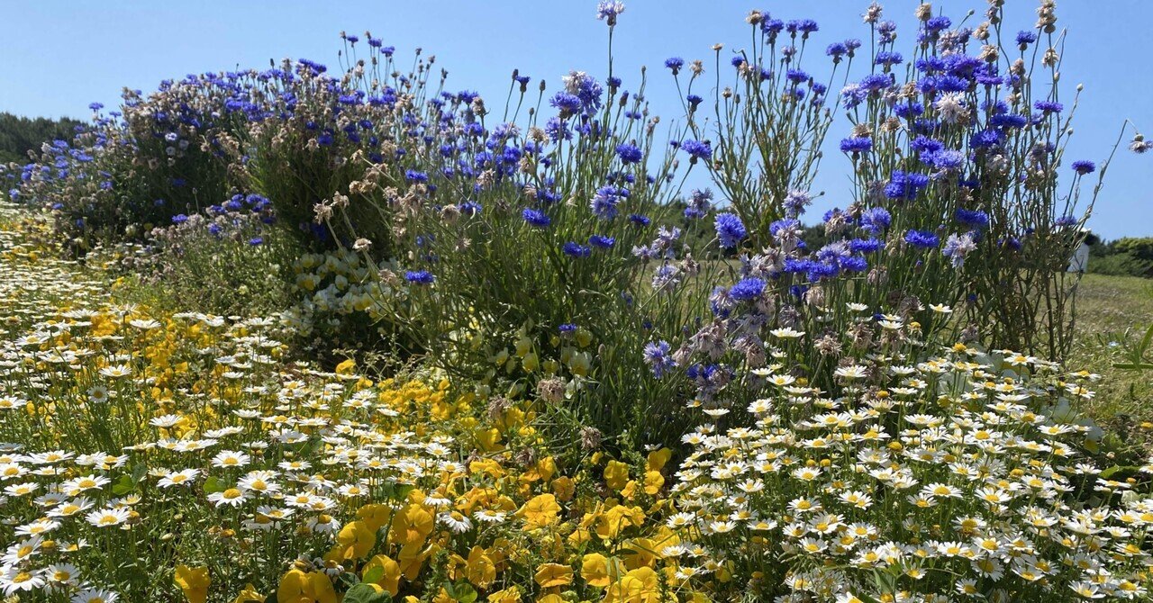 人と群れないけれど人が好き。適度な距離感について。｜notet