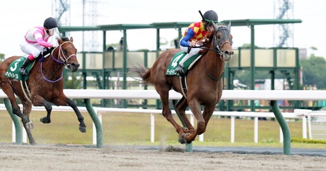 【2023 平安ステークス（G3）】徹底的に攻略データ篇｜Haya