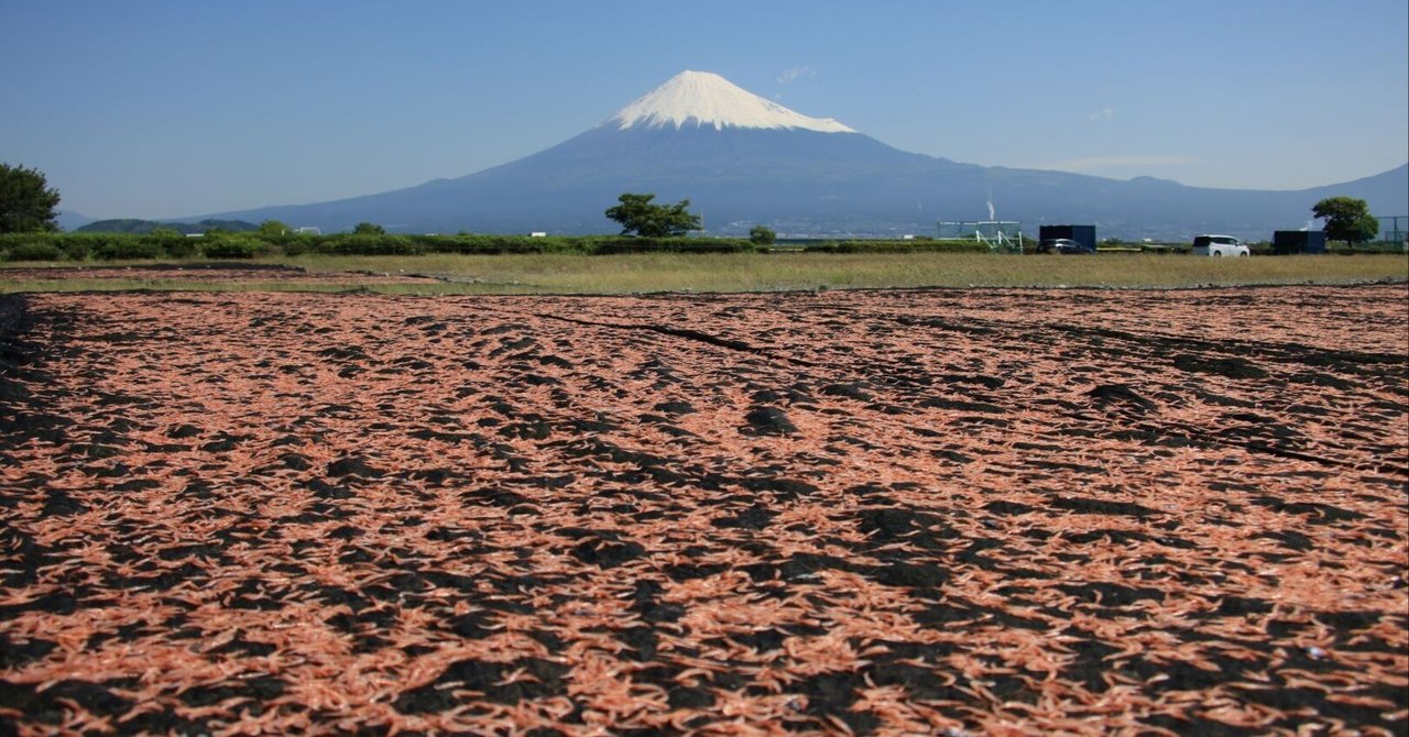 桜海老の天日干しを撮影しなおしました｜tetsu takashi