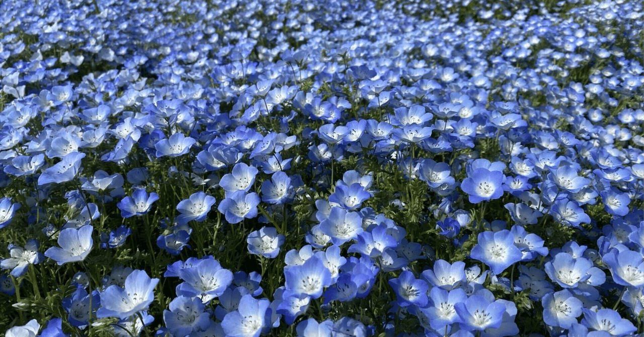 koichi_kodama｜note