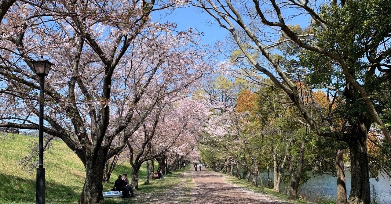 お金の使い方…？｜Sora Sasaki