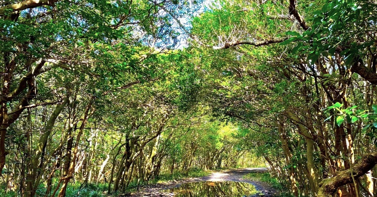 【詩】争い｜ayano_leizei 冷泉あやの