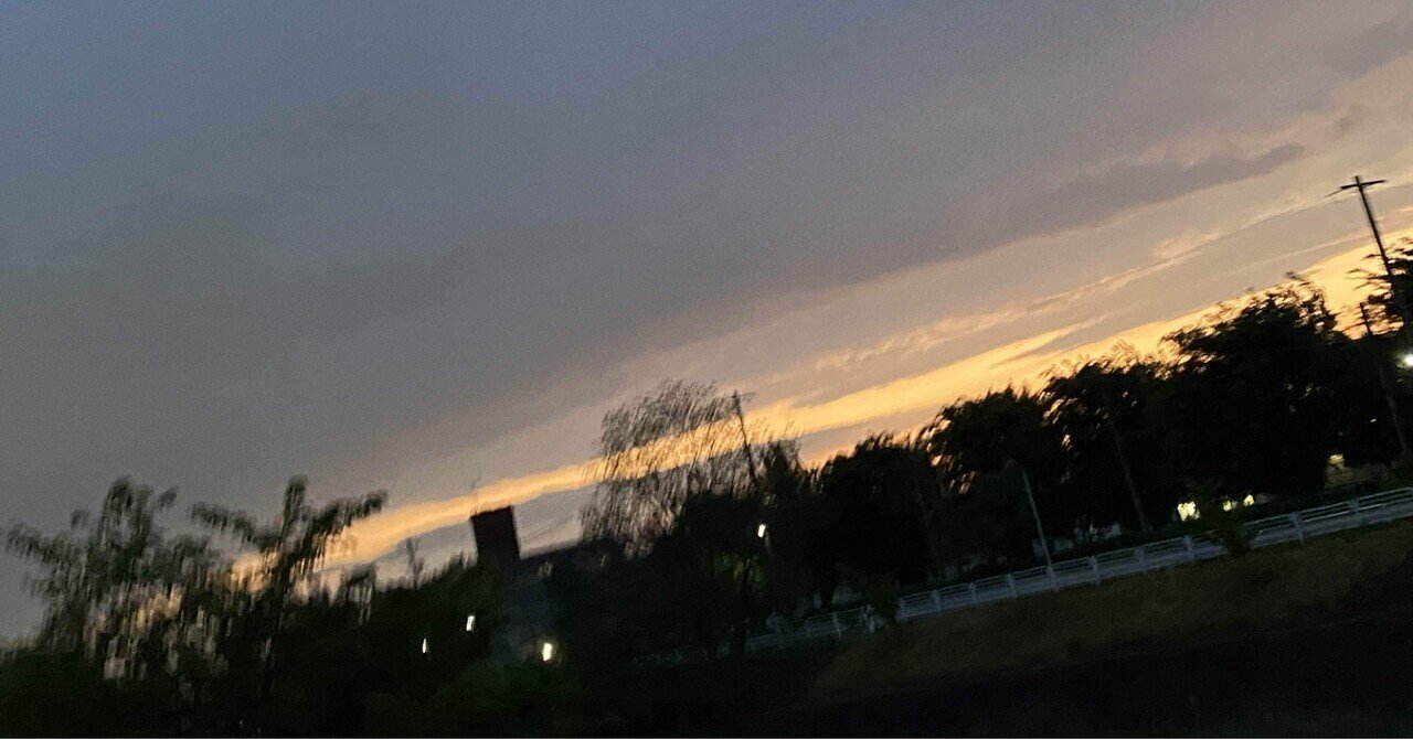 毎日。｜Teppei_Takeuchi