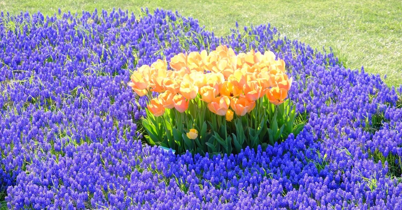 かみゆうべつチューリップ公園 3｜tabito