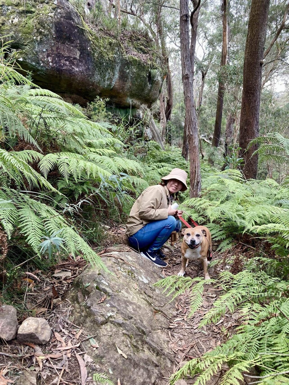 海外放浪旅#3 シドニー🇦🇺でworkaway体験記②（リアル評価）｜ERI 世界放浪フリーランス