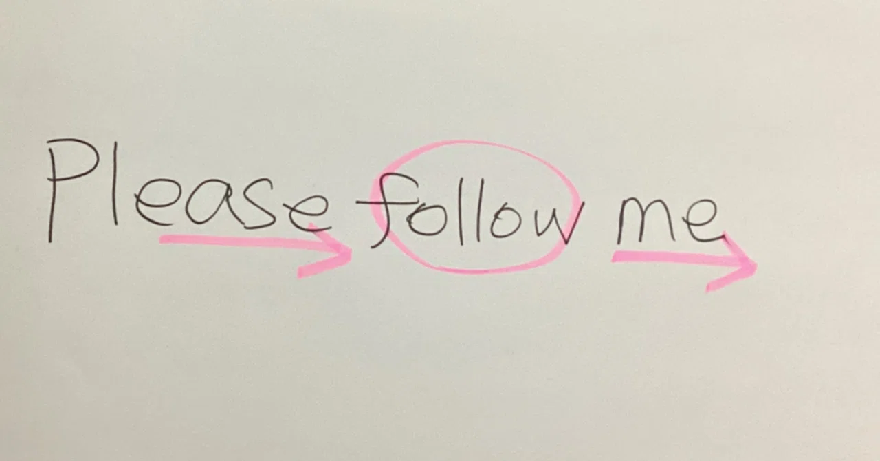 49/365 Please follow me｜yolo_365_momo