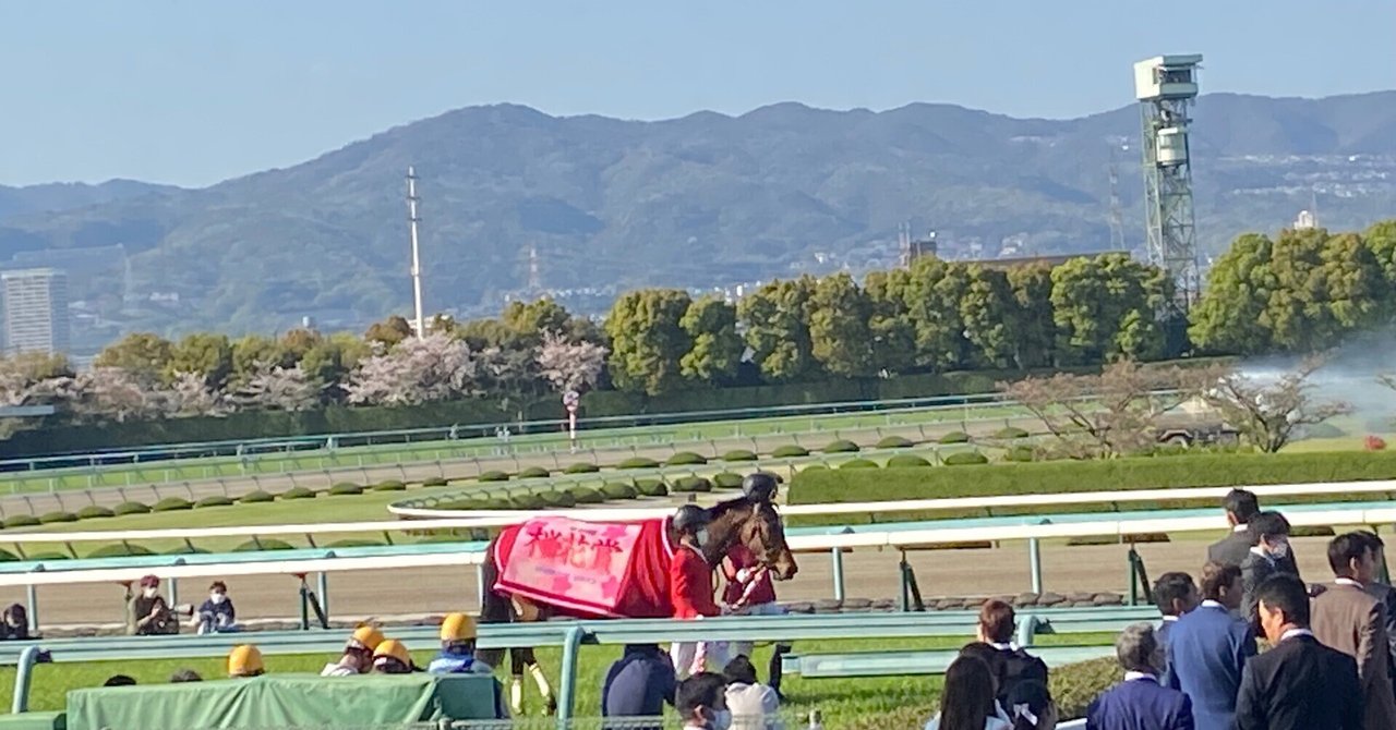 🌈2023年5月20日土曜日中央競馬🏇京都・東京・新潟競馬場平安ステークス、メイステークスなど 注目馬🐴｜🌻ひまわりすずめの競馬・競艇予想