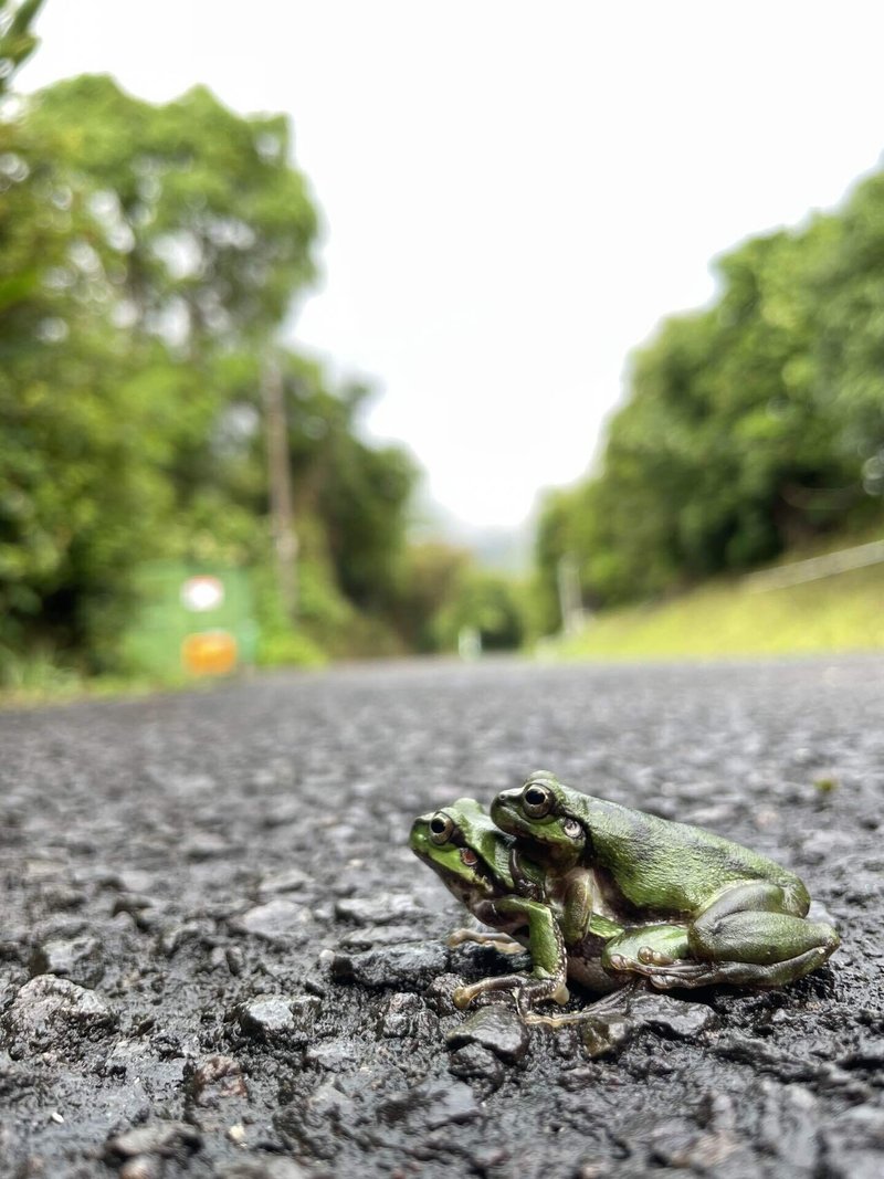 well-beingな状態を考える〜レッドブルより爽健美茶を。Well-Labo第二期をはじめて〜｜yakutakeshi0527