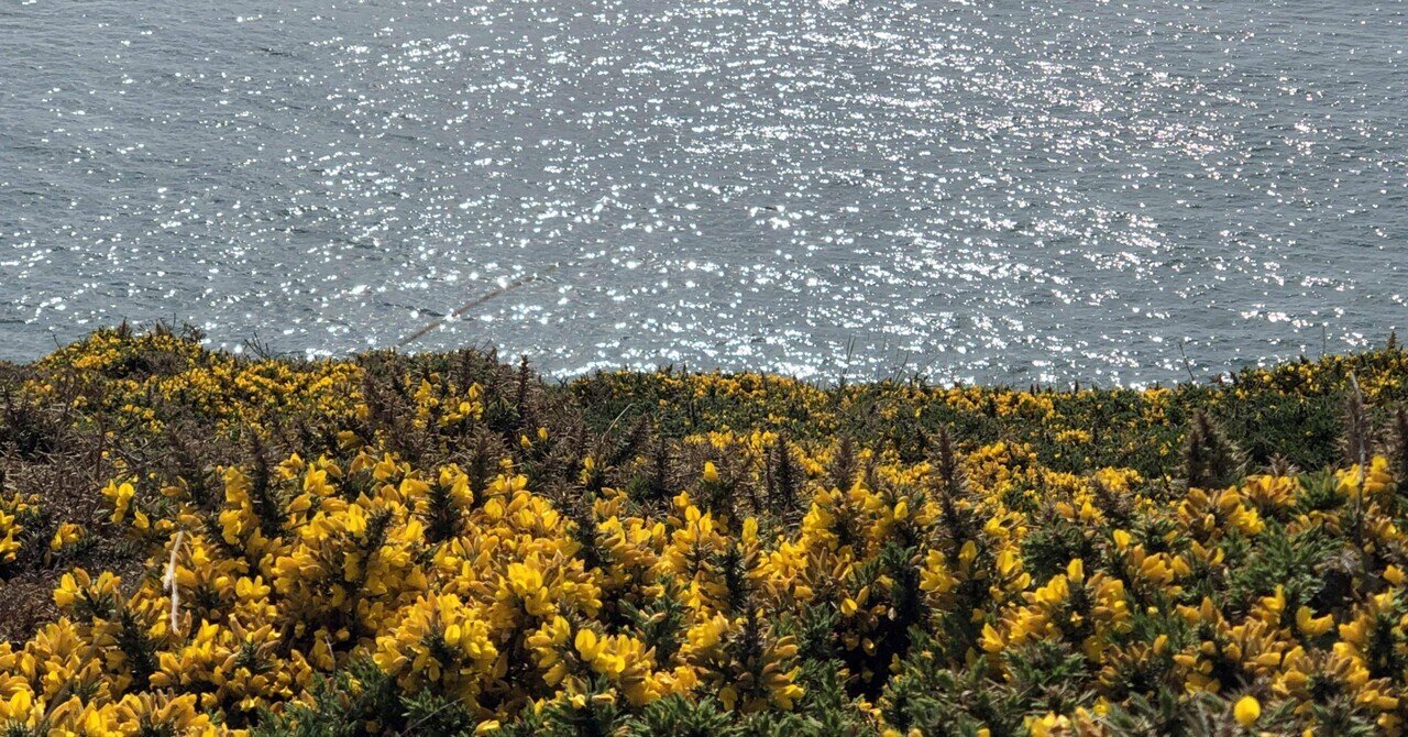 ロンドン生活243日目｜のんびりFriday｜mitsuki.