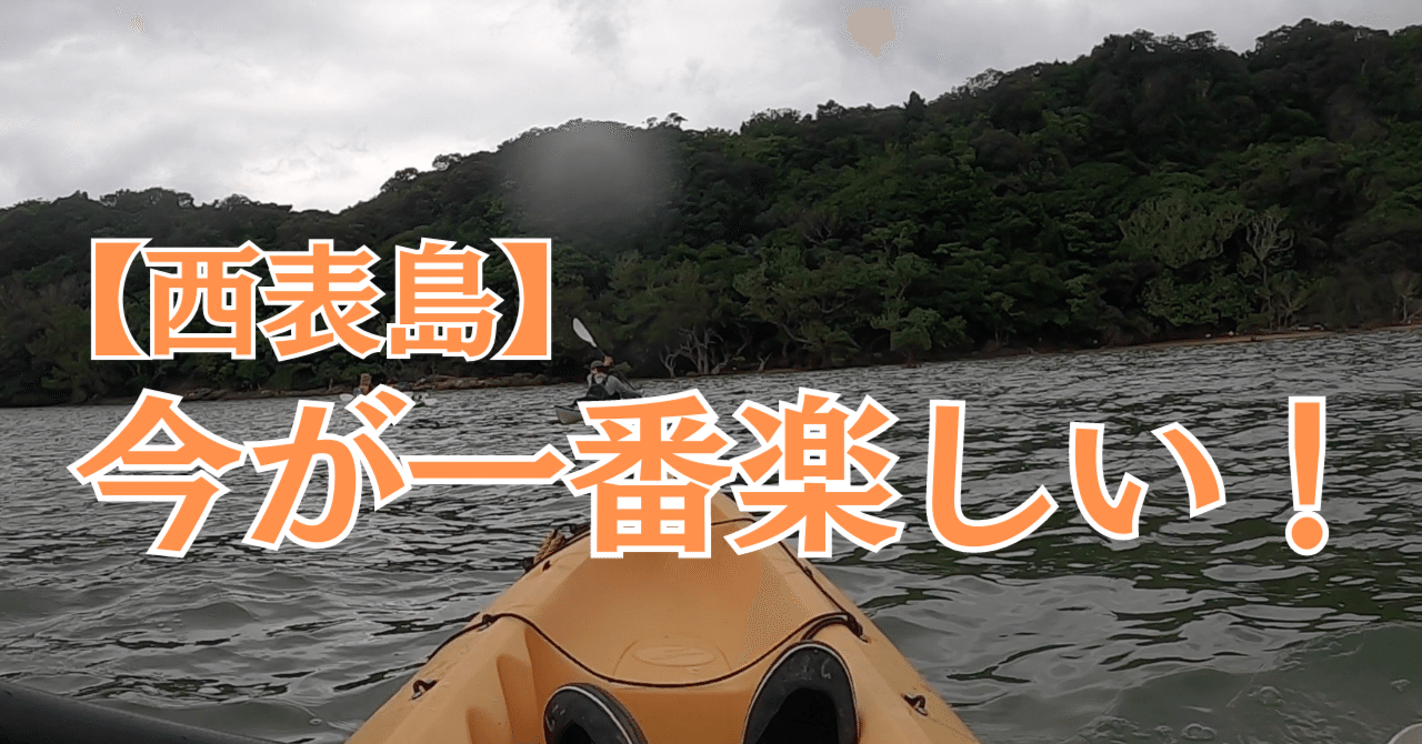 今が一番楽しい｜だいき＠Daiki`s note