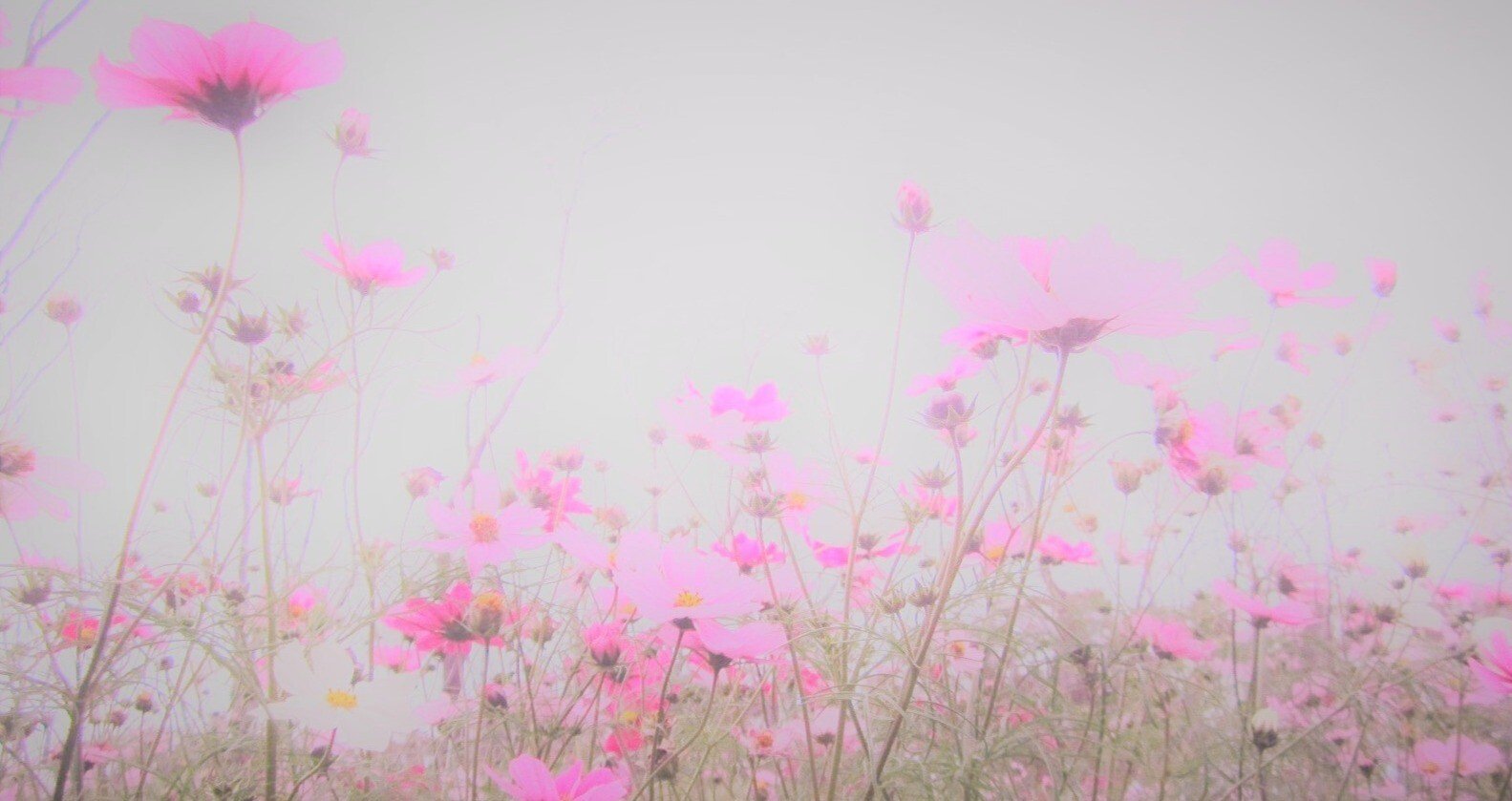 心にほんのり光をともす｜真帆しおん＊Shion MAHO｜note