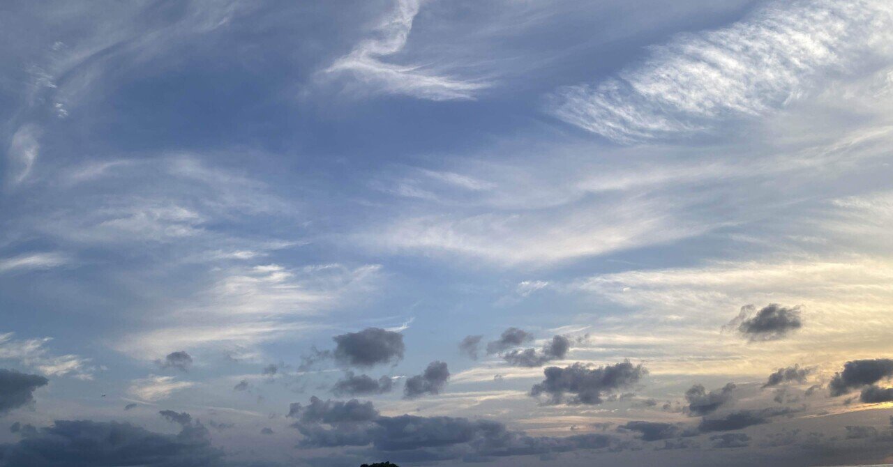 【なぜ今アートが必要か｜琉球新報 落ち穂① 2020年7月3日掲載】｜Naoko Uchima