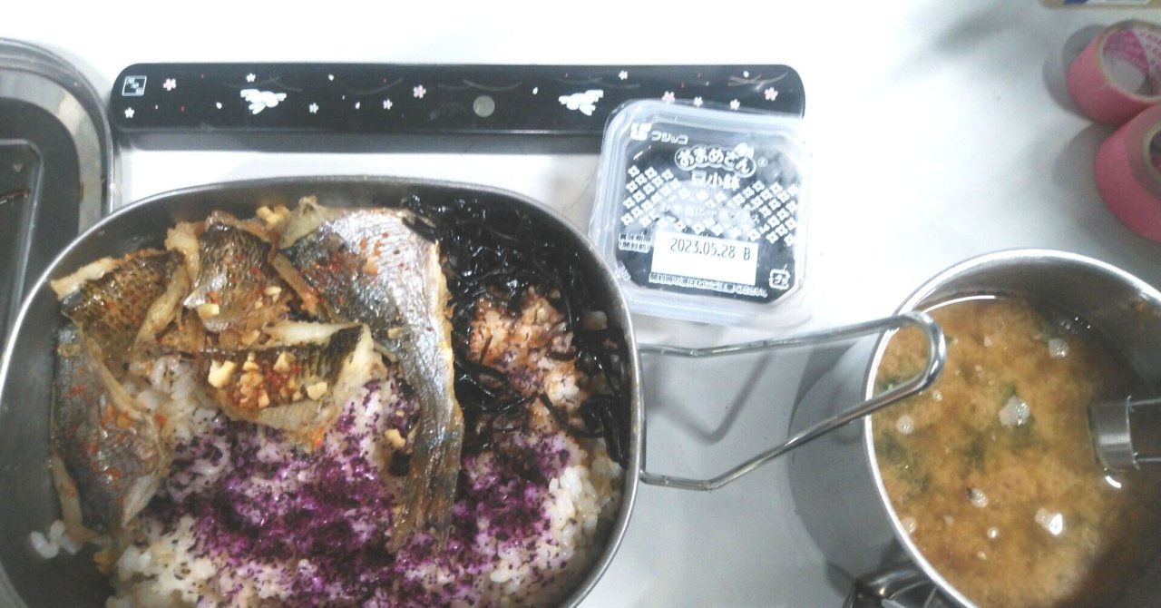 リニューアルした金沢水際線緑地（旧福浦岸壁）の釣行｜Yossy Sato