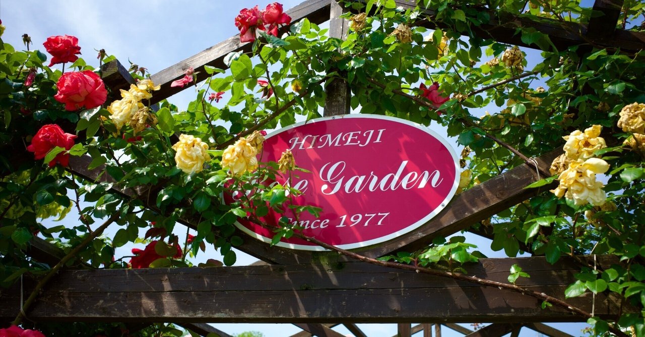 姫路ばら園 2023｜donguri