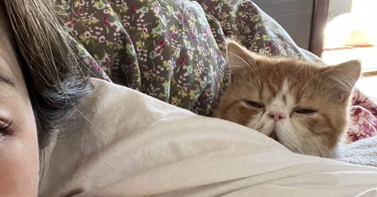 倉田茉美 mami kurata｜note