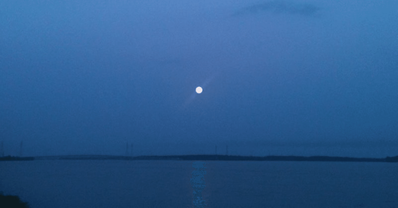 季節を間違えた蝉｜amiami_iroiro