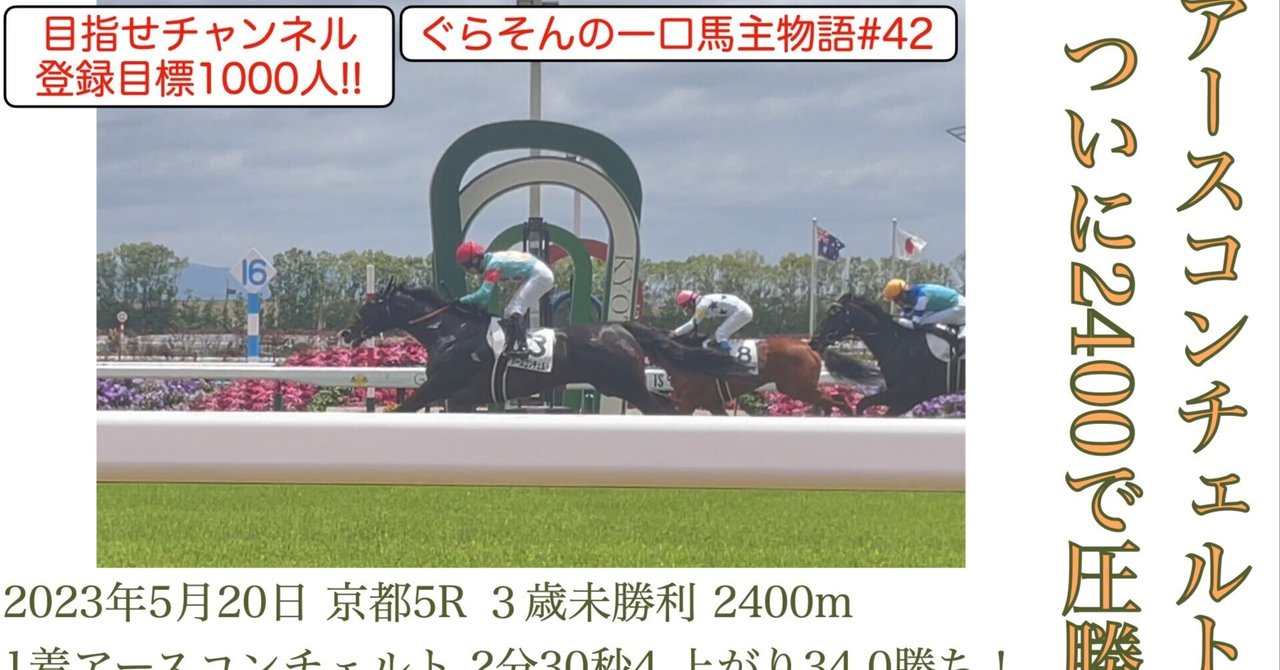 【現地映像】アースコンチェルト未勝利圧勝 ️ 2023.5.20 京都5R 3歳未勝利 芝2400m｜ぐらそんのWIN5 36点予想
