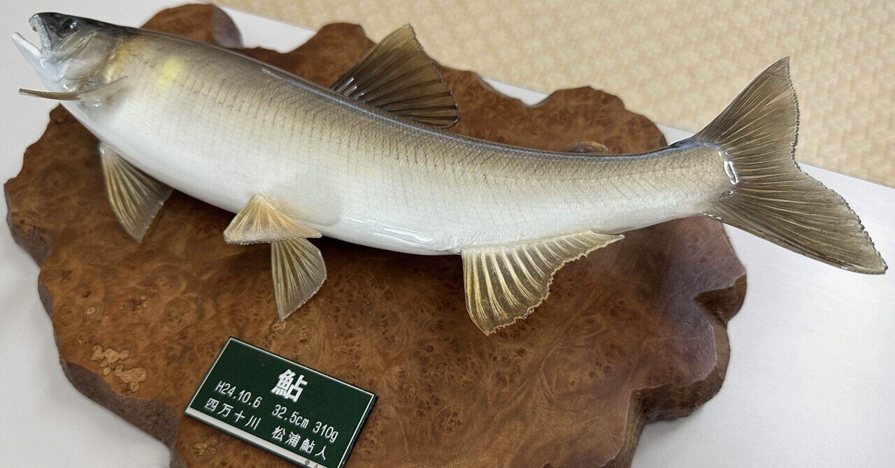 #CLS高知 2023 初鰹編 Day 2/5｜NicePapa 平野 尚志