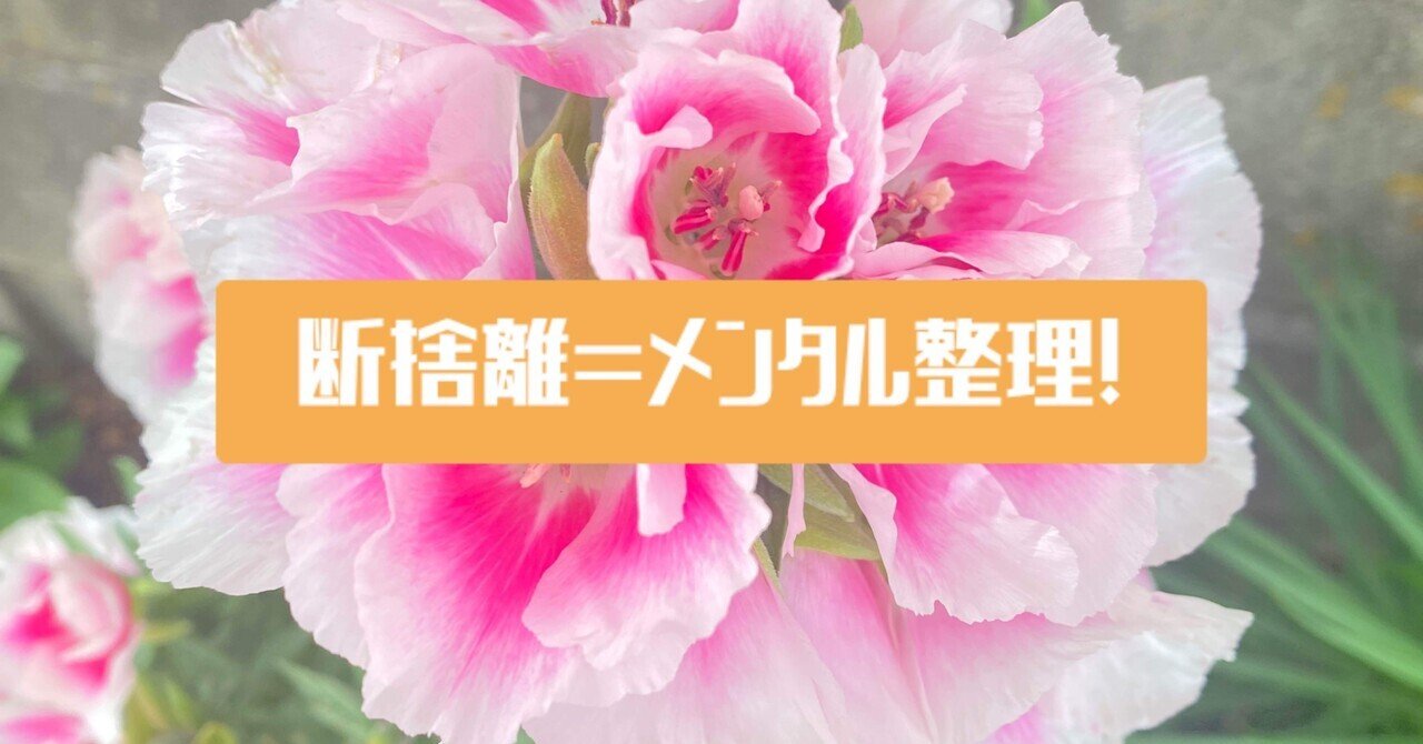 断捨離をして自動的に生活習慣が整った。｜rui 断捨離マニア