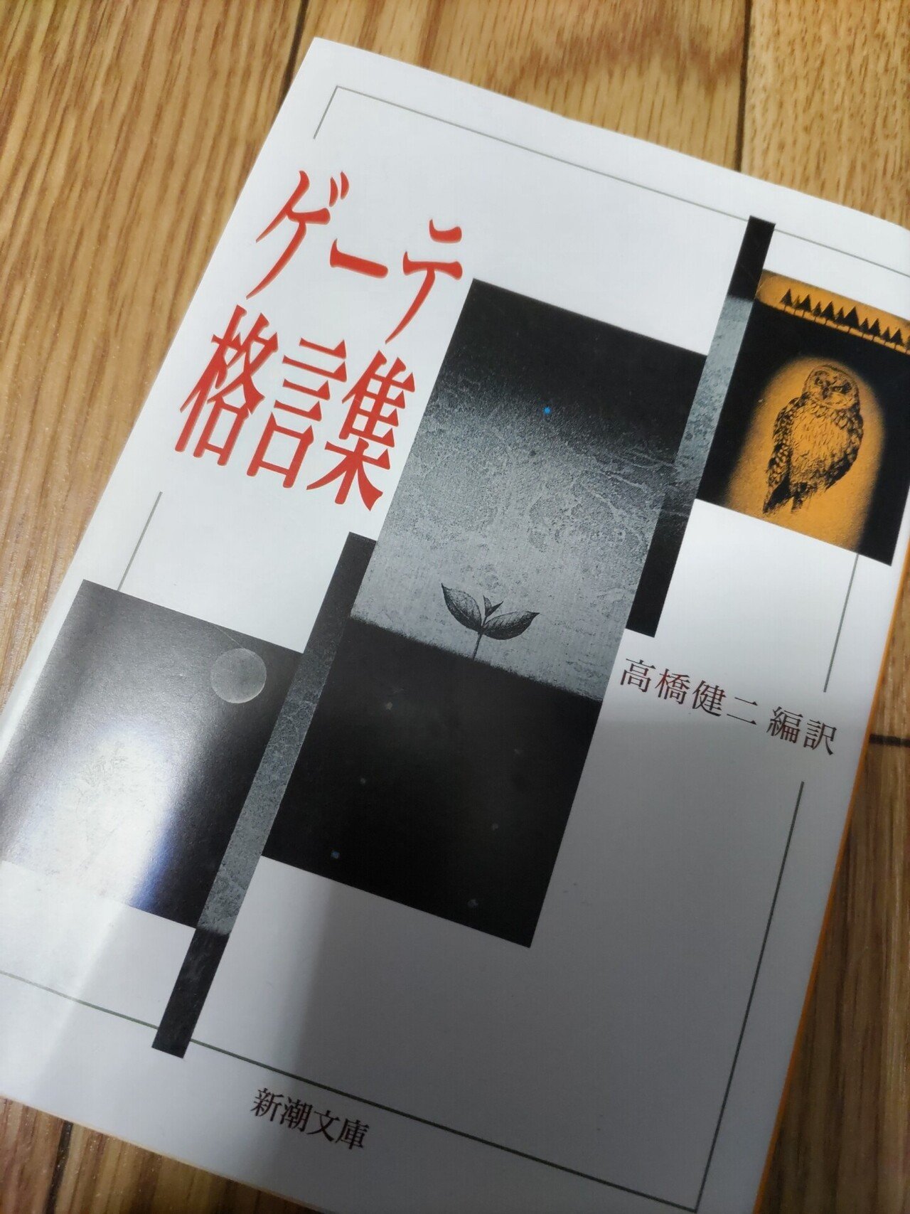 ゲーテ格言集2 https://stand.fm/episodes/646b4469ada1410dea9857a1｜note_sean4672〜ショーン〜