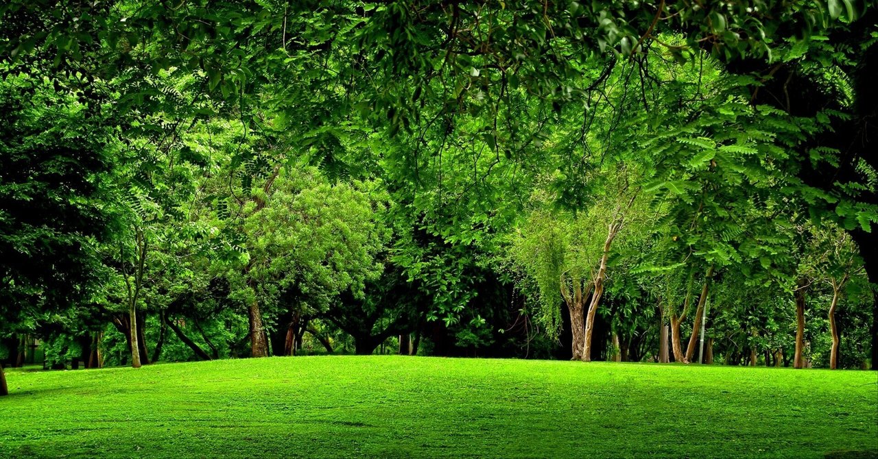 自然に還る｜Naomi Ozawa