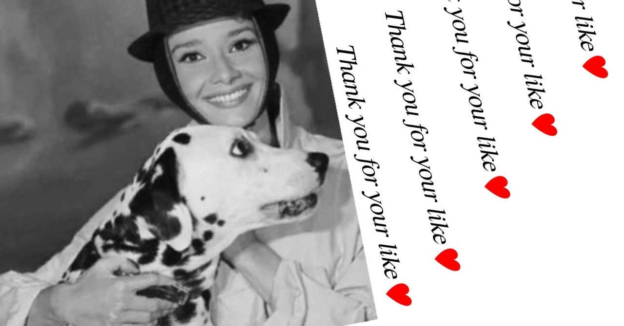 いつも沢山のスキ♥️をありがとうございます🙇。。。🥺💘｜madamhiroko