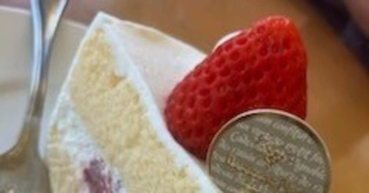 久しぶりの投稿｜haco