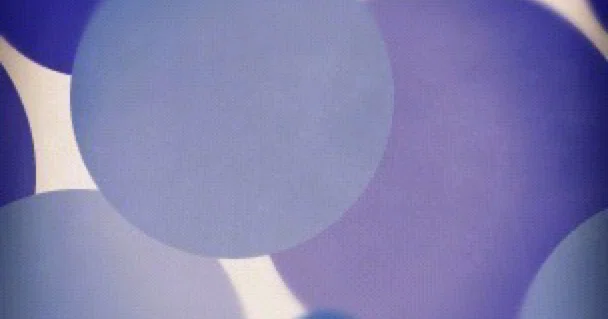 stella｜note