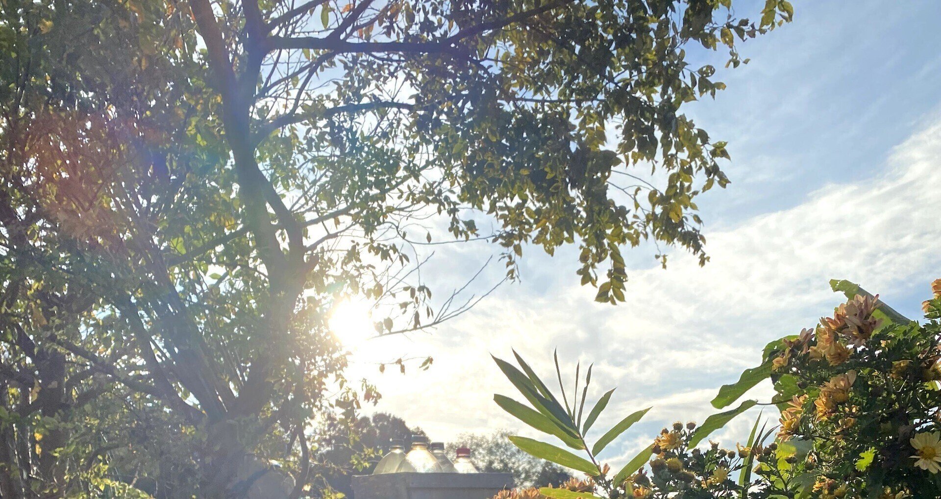 Sanko Natsuki｜note