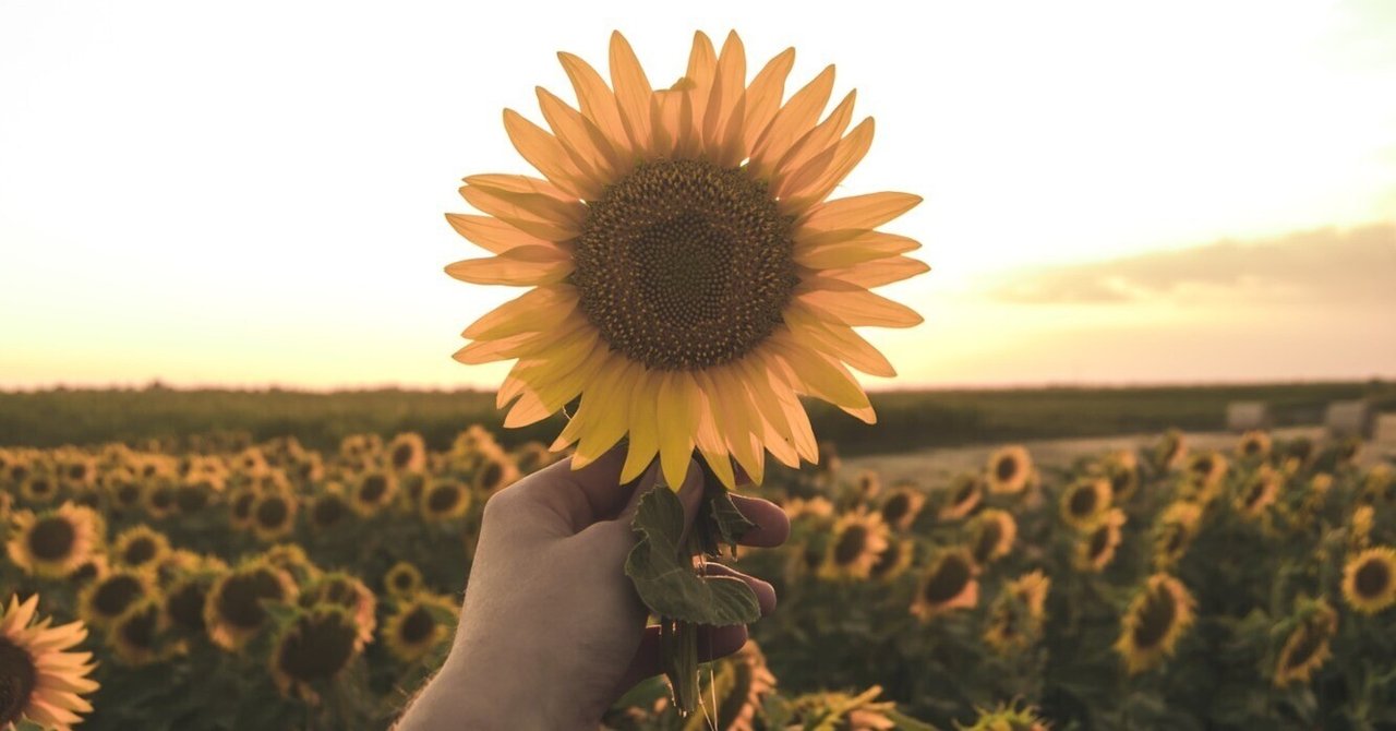 05.MYホロスコープを読む(人生の大枠を表すアングル〜ASC・IC・DSC・MC〜｜♪おやみな☆ | あなたと私の物語を紡ぐ占い作家 ...