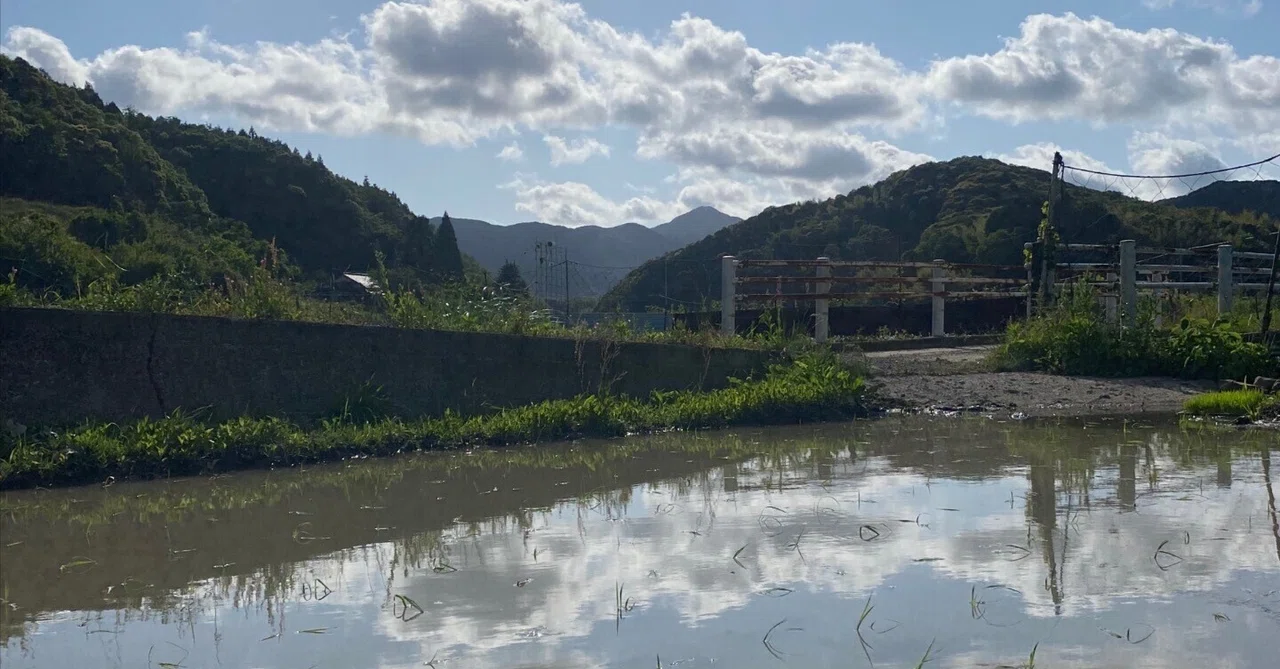 日記令和5年5月23日火曜日(旧暦卯月四日) 家の田植え もんぺ 農の在り方 生きる力｜nakano michiko