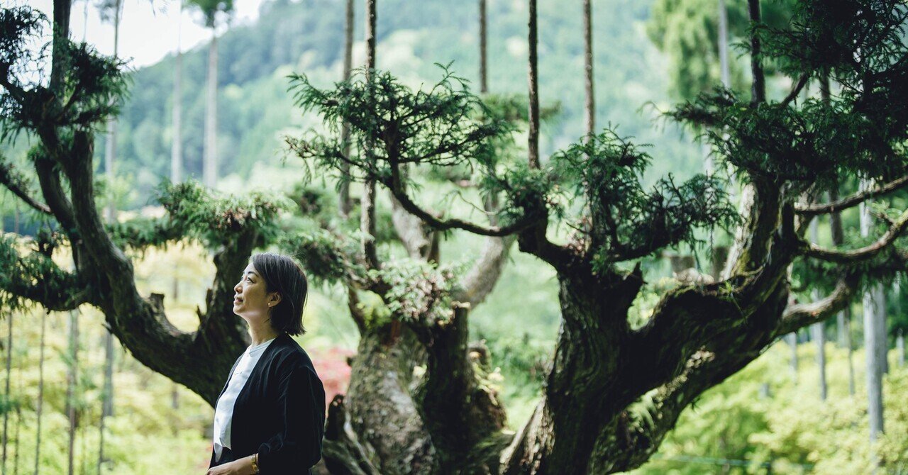 le bois_木のこと。決意とともに。｜Tomoko Saito