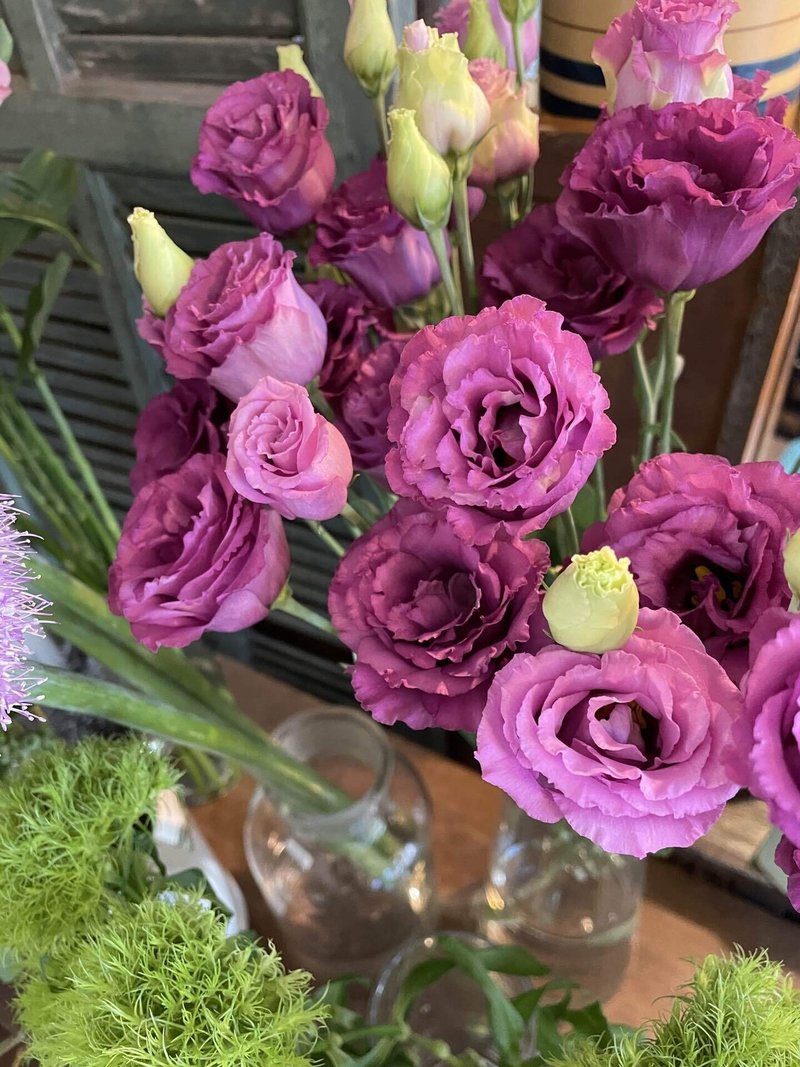 はながすきすぎる 初夏の枝物｜花屋KONOHA