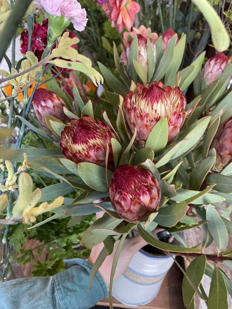 はながすきすぎる 初夏の枝物｜花屋KONOHA