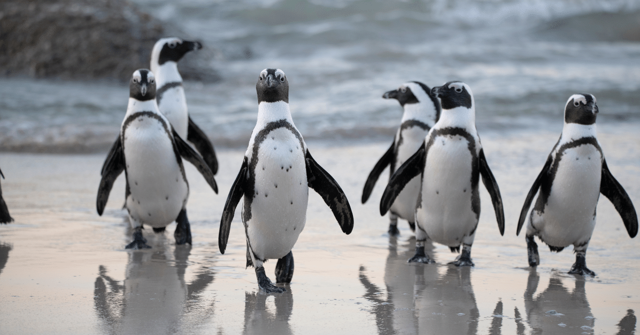 自ら率先してやること｜Tatsuro Sugi