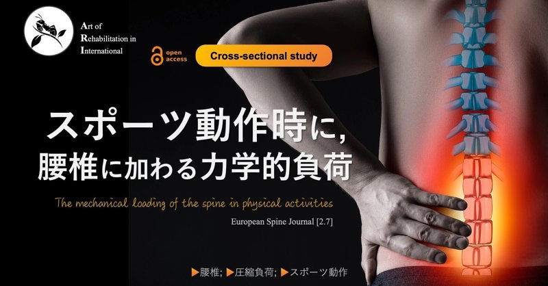 スポーツ動作時に、腰椎に加わる力学的負荷|super Human 理学療法士/保健学博士 Phd